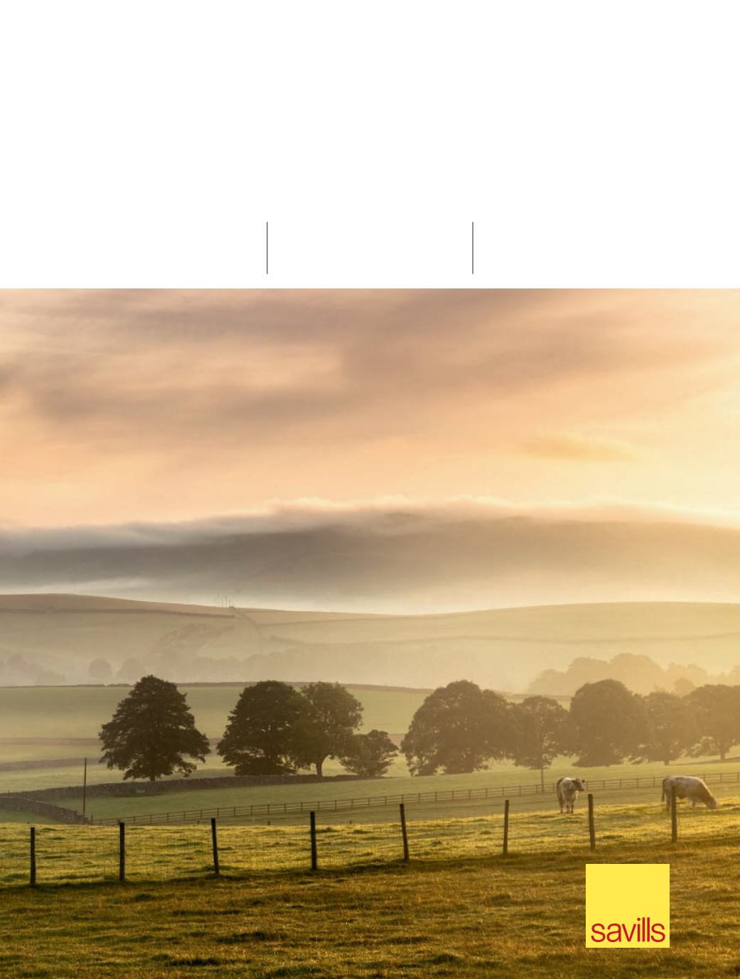 Savills | Aspects of Land | Autmn / Winter